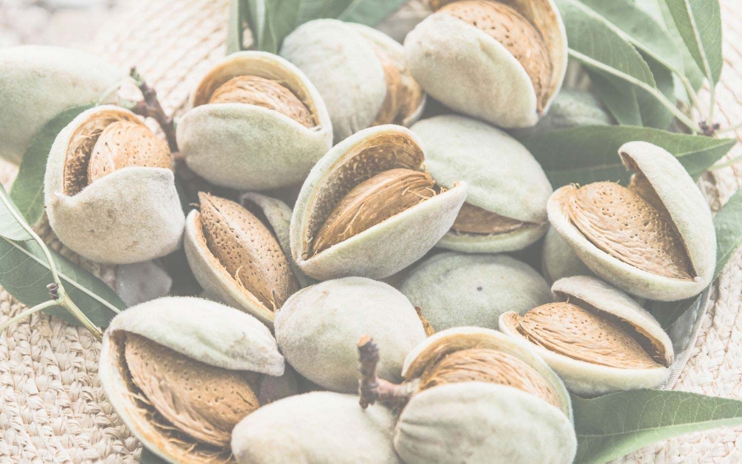 Who we are - Australian Almonds